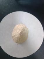 China Amino Acid 80% Fertilizer Organic Nitrogen 15% Plant Source Powder for Soil and Foliar for sale