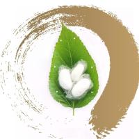 China Silk Amino Acid 90% Min White Powder Cosmetic Grade Water Soluble 14.5% Total Nitrogen for sale