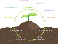 China OMRI Organic Amino Acid Fertilizer 16% Nitrogen 80% Amino Acids Plant-Based Powder for sale