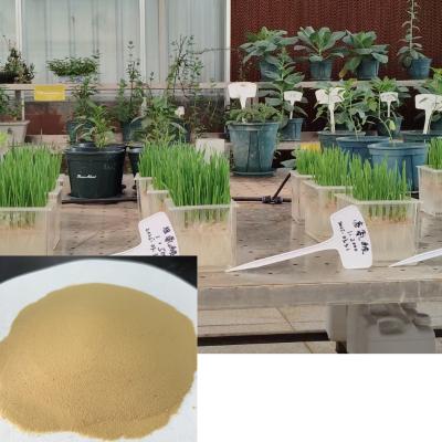 China Plant Based Amino Acid Powder 80% pH 4-6 Foliar Fertilizer for Agriculture for sale