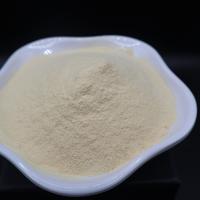 China Food-Grade Hydrolyzed Vegetable Protein (HVP) Water Soluble Umami Flavor Enhancer for Savory Foods for sale