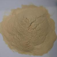 China Enzymatic Hydrolyzed Soy Protein Powder 80% Amino Acids for Fermentation for sale