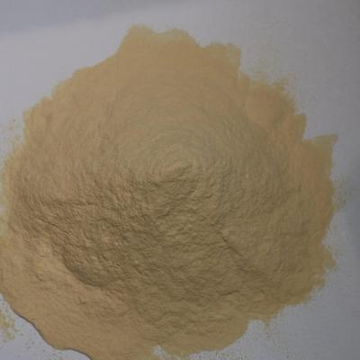 China Enzyme Amino Acid Bone Peptone N15% Natural Biostimulant Fertilizer - 20kg Bags, 14% Organic Nitrogen for sale