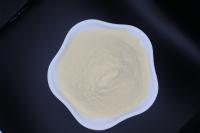 China Premium Chicken Bone Peptone 14.8% Total Nitrogen Controlled Enzymatic Digestion for Microbial Cultivation for sale
