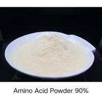 China Enzymatic Amino Acid 90% Organic Nitrogen 13% Fertilizer Powder for Foliar Fertigation for sale