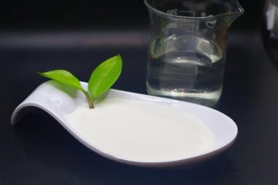 China High Purity Bovine Collagen Peptide 3000 Da 9.86% Hydroxyproline for Nutraceutical and Pharmaceutical Use for sale