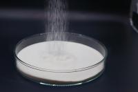 China Hydrolyzed Collagen Peptides Type I 300-3000 Daltons Low Heavy Metals <10 Ppm 36 Months Shelf Life for sale