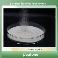China High-Purity Peptone 99% with 15% Total Nitrogen for Microbial Growth and Bioprocess Applications for sale