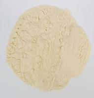 China Chloride Free Amino Acid Powder Fertilizer 85% OMRI Approved Water Soluble 16-0-0 for sale
