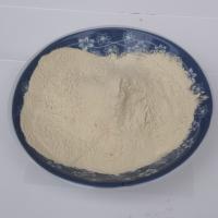 China N14 Enzymatic Amino Acid Powder 80% Organic Fertilizer with 14% Nitrogen - OMRI Certified Water Soluble Plant Nutrient for sale