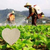China High Organic Carbon Enzymatic Amino Acid Powder Fertilizer 85% with 16% Organic Nitrogen for Enhanced Crop Growth for sale