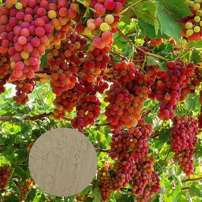 China PH7-9 Amino Acid Chelate Fertilizer with 15% Calcium and 35% Amino Acids for Organic Crop Nutrition for sale