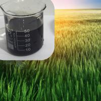 China Liquid Compound Amino Acid Chelated Micronutrients with 30g/L Calcium and 10g/L Magnesium for Crop Nutrition for sale