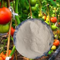 China Non-GMO Soybean Extract Hydrolyzed Amino Acid 80% Organic Fertilizer Powder - 100% Water Soluble with ≥12% Nitrogen for sale