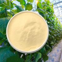 China Plant Origin Hydrolysate Protein Amino Acid Powder Fertilizer 70% Total Amino Acid 12% Nitrogen for sale