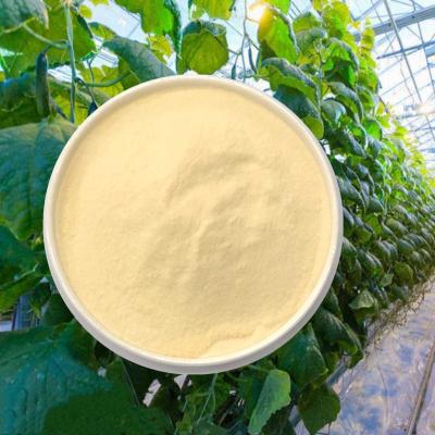 China Plant Origin Hydrolysate Protein Amino Acid Powder Fertilizer 70% Total Amino Acid 12% Nitrogen for sale