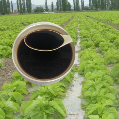 China Soybean Hydrolysate Protein Amino Acid Liquid 30% Agricultural Fertilizer with 35% Free Amino Acids and 10% Total Nitrogen for sale