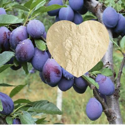 China Vegetal Based Amino Acid Powder Fertilizer 52% Drip Irrigation Foliar Fertilizer for sale