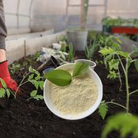 China Organic Fertilizer Amino Acid Chelated Zinc Micronutrient - 10% Zinc Content, 25% Amino Acids, Water Soluble Powder for sale