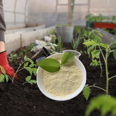 China Organic Fertilizer Amino Acid Chelated Zinc Micronutrient - 10% Zinc Content, 25% Amino Acids, Water Soluble Powder for sale
