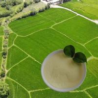 China OMRI Listed Soy Protein Hydrolysate Amino Acid Powder 85% with 16% Organic Nitrogen for Organic Agriculture for sale
