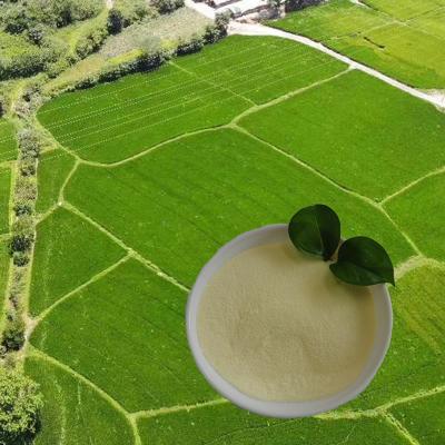 China OMRI Listed Soy Protein Hydrolysate Amino Acid Powder 85% with 16% Organic Nitrogen for Organic Agriculture for sale
