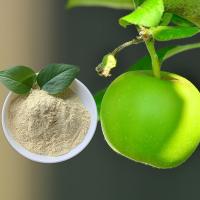 China Soy Protein Hydrolysate Amino Acid Chelate Fertilizer with Calcium - 100% Water Soluble, Less Than 5% Moisture for sale