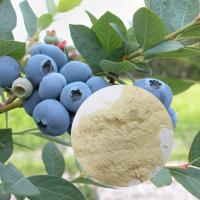 China PH4~6 Amino Acid Chelated Manganese Powder Fertilizer with 10% Mn Content and 25% Amino Acids for Enhanced Crop Growth for sale