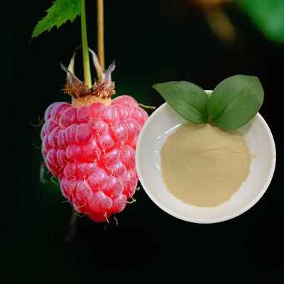China Amino Acid 70% Water Soluble Fertilizer Foliar Spray for Turfgrass Organic Nitrogen for sale