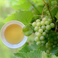China Soy-Based Amino Acid Organic Nitrogen Fertilizer 30% Amino Acid Content with 6% Amino Acid Nitrogen for sale