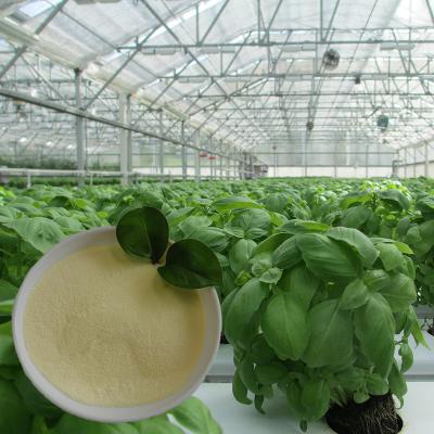 China OMRI Listed Soy Protein Hydrolysate Organic Fertilizer with 80% Amino Acid and 14% Nitrogen Content for sale
