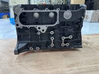 China 11009-1W40A Nissan Engine Cylinder Block Model BD30 Material Casting for sale