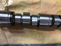China Oem 3066877 Engine Camshaft Model 3116 Cummins Cam Standard for sale