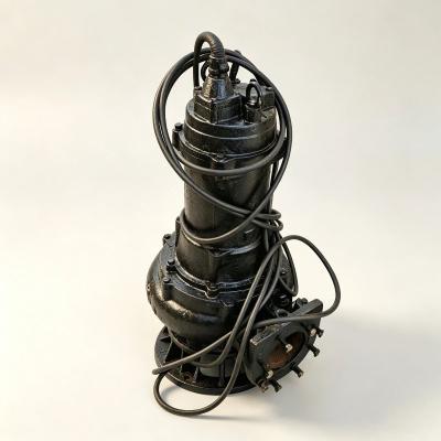 China Durable 30kw Electric Submersible Sewage Pump for Heavy-Duty Applications for sale