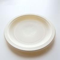 China Audit ISO 9001 Certified Disposable Plates and Cutlery for Sustainable Celebrations for sale