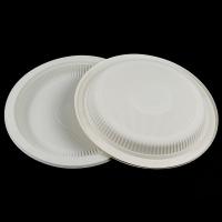 China Biodegradable Eco Friendly Dinnerware Sets Novelty Design Style for Party Picnic Meeting for sale