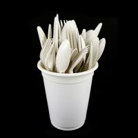 China Biodegradable Eco Friendly Dinnerware Sets Novelty Design Style for Party Picnic Meeting for sale