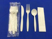 China Kraft Paper Box Packaging Sustainable Cpla Cornstarch Plastic Cutlery Set with Napkin for sale