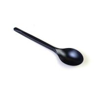 China 100pcs/Box Disposable Cutlery Heavy Duty Ice Cream Spoon 13cm Length for sale