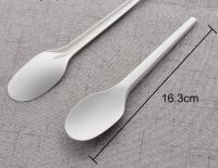 China Disposable Spoon Fork Knife Set Biodegradable Option for Catering and Buffet Service for sale