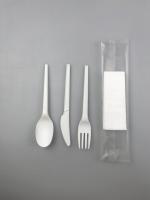 China Disposable Spoon Fork Knife Set Biodegradable Option for Catering and Buffet Service for sale