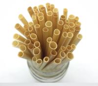 China Say Goodbye to Plastic Straws and Hello to Wheat Drinking Straws Eco Friendly Option for sale
