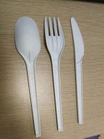 China Everyday Season Cutlery Set 100% Bio Degradable Compostable White Spoon Fork and Knife for sale