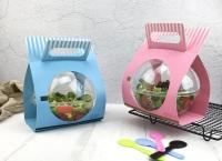 China Salad Bowl with Lid Paper Card Dimension 13.5* 5.3 6.5 cm Convenient and Eco-Friendly for sale