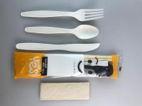 China Eco Cutlery Set with Bamboo Chopsticks Spoon Toothpick and Napkin Custom Logo Accepted for sale