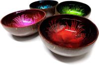 China Height 4.5-6.5cm Reusable and Washable Decorative Bowl Lacquered Organic Coconut Bowls for sale