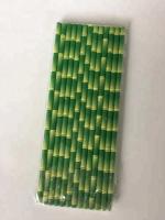China Everyday Bamboo Ecologic Paper Straw Package for Sustainable Living Alternatives for sale