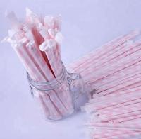 China Everyday Bamboo Ecologic Paper Straw Package for Sustainable Living Alternatives for sale