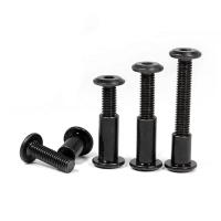 China Passivated Surface Stainless Steel Black Chicago Screw Customized Size for sale
