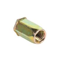 China Steel Reduce Head Full Hex Body Rivet Nut Zinc Plated Copper Yellow Color for sale